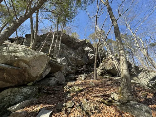 Best Hikes and Trails in Webb Mountain Park | AllTrails