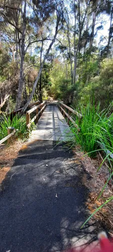 Best Hikes and Trails in Big Brook State Forest | AllTrails