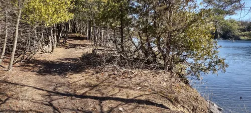 Best Bird Watching Trails in Point Au Roche State Park | AllTrails