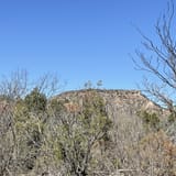 The Paseo del Rio Trail, Texas - 345 Reviews, Map | AllTrails