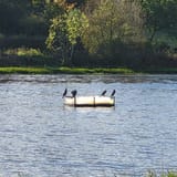 Thornton Reservoir and Bagworth Heath Woods Circular, Leicestershire ...