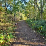Thornton Reservoir and Bagworth Heath Woods Circular, Leicestershire ...