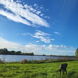 Thornton Reservoir and Bagworth Heath Woods Circular, Leicestershire ...