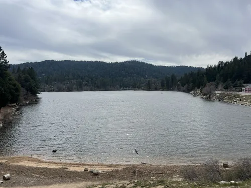 Best Hikes and Trails in Lake Gregory Regional Park | AllTrails