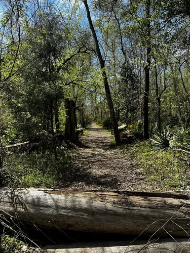 Best Hikes and Trails in Florida Caverns State Park | AllTrails