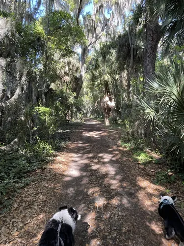 Best Lake Trails in Mount Dora | AllTrails