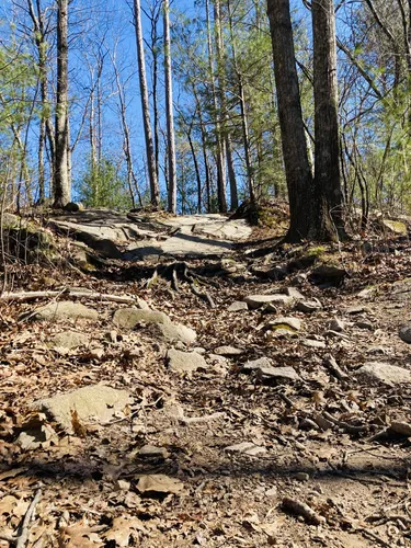 Best Hikes and Trails in Wrentham State Forest | AllTrails