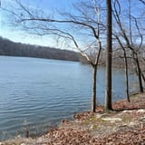 Muddy Run Lakeshore Trail, Pennsylvania - 358 Reviews, Map | AllTrails