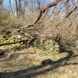 Morgan Run Natural Environmental Area Trails, Maryland - 417 Reviews ...