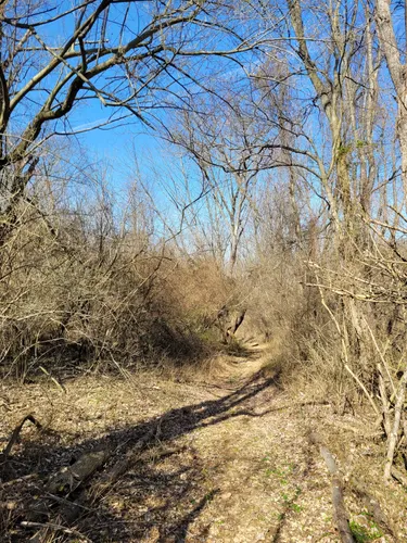 Morgan Run Environmental Area: de beste routes om te wandelen | AllTrails