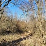 Morgan Run Natural Environmental Area Trails, Maryland - 417 Reviews ...