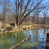 Morgan Run Natural Environmental Area Trails, Maryland - 417 Reviews ...