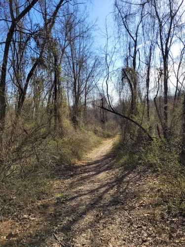 Best Hikes and Trails in Morgan Run Environmental Area | AllTrails