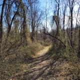 Morgan Run Natural Environmental Area Trails, Maryland - 417 Reviews ...