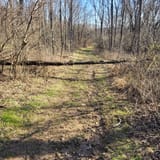 Morgan Run Natural Environmental Area Trails, Maryland - 417 Reviews ...
