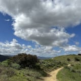 Autumn Ridge Trail, California - 397 Reviews, Map | AllTrails
