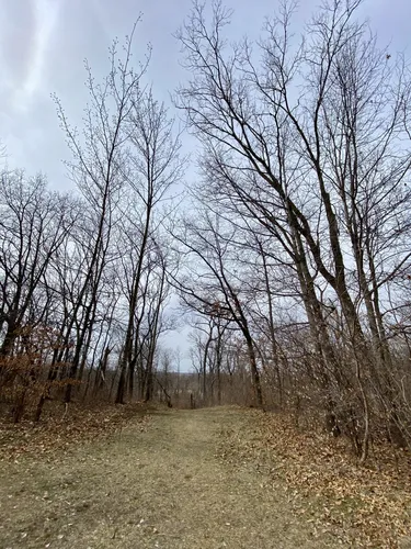 Best Hikes and Trails in Wickiup Hill County Park | AllTrails