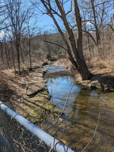 Best Hikes and Trails in BeeTree Preserve | AllTrails