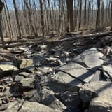 High Rocks, Pennsylvania - 2,871 Reviews, Map | AllTrails