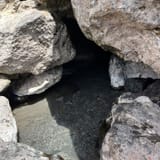 Spence Hot Springs Trail, New Mexico - 483 Reviews, Map | AllTrails