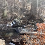 Spence Hot Springs Trail, New Mexico - 426 Reviews, Map | AllTrails