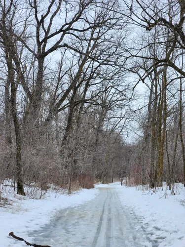 Best Easy Trails in Beaudry Provincial Park | AllTrails