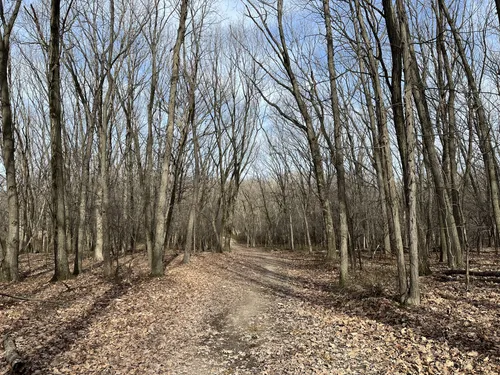 Best Wild Flowers Trails in Tinley Park | AllTrails