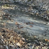 Levis/Trow Mounds Trail, Wisconsin - 268 Reviews, Map | AllTrails