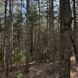 Levis/Trow Mounds Trail, Wisconsin - 268 Reviews, Map | AllTrails