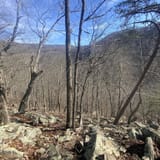 Seneca Rocks Trail, West Virginia - 2,708 Reviews, Map | AllTrails