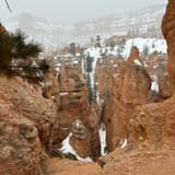 Peekaboo Loop Trail, Utah - 3,835 Reviews, Map | AllTrails