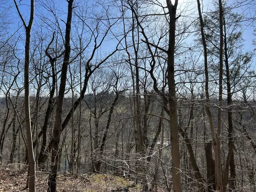 Best Hikes and Trails in Arthur W Butler Memorial Sanctuary | AllTrails