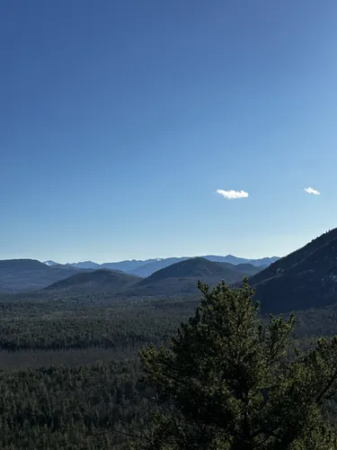 Best Forest Trails in Jay | AllTrails