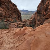 Guardian Angel Pass, Nevada - 1,854 Reviews, Map | AllTrails