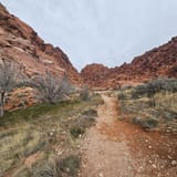 Guardian Angel Pass, Nevada - 1,854 Reviews, Map | AllTrails