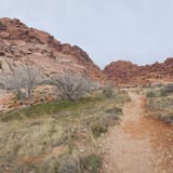 Guardian Angel Pass, Nevada - 1,854 Reviews, Map | AllTrails