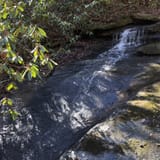 Hidden Falls Trail, South Carolina - 721 Reviews, Map | AllTrails
