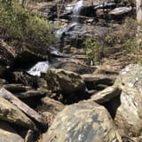 Hidden Falls Trail, South Carolina - 639 Reviews, Map | AllTrails