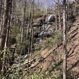 Hidden Falls Trail, South Carolina - 639 Reviews, Map | AllTrails