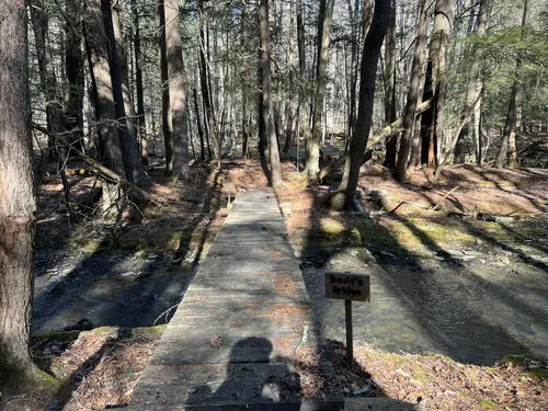 Best Hikes and Trails in Danby State Forest | AllTrails