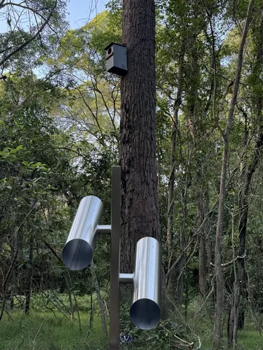 Best Hikes and Trails in Raven Street Reserve | AllTrails