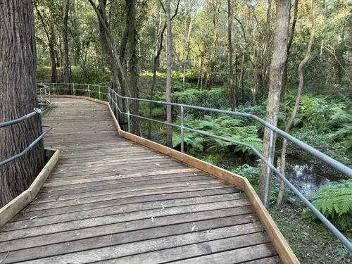 Best Hikes and Trails in Raven Street Reserve | AllTrails
