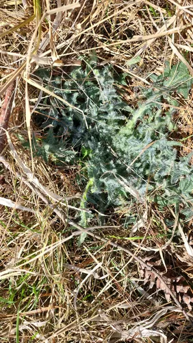 Best Hikes and Trails in Fort Daniel Conservation Area | AllTrails