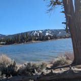 Alpine Pedal Path Trail, California - 903 Reviews, Map | AllTrails