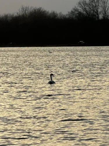 Best Mountain Biking Trails in Fort Custer Recreation Area | AllTrails