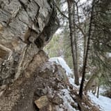 Adams Canyon Trail, Utah - 6,847 Reviews, Map | AllTrails