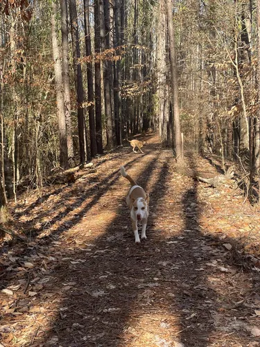 Best Wild Flowers Trails in Piper | AllTrails