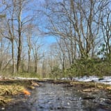 Mount Davis Pennsylvania Highpoint Trail, Pennsylvania - 722 Reviews ...