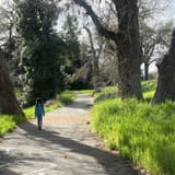 UC Davis Arboretum Trail, California - 1,316 Reviews, Map | AllTrails