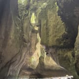 Patuna Chasm Walk, Wellington, New Zealand - 29 Reviews, Map | AllTrails